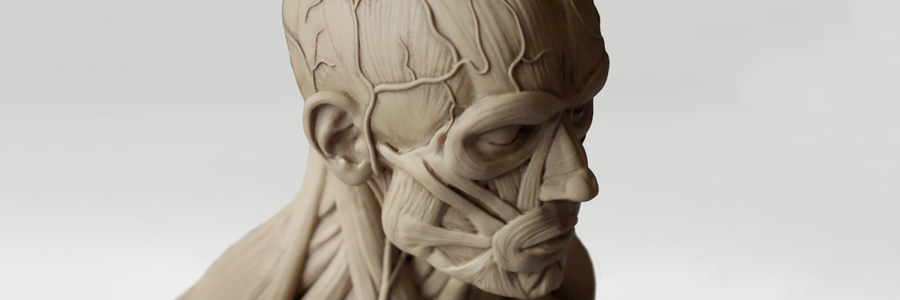 Collections – 3dtotal shop