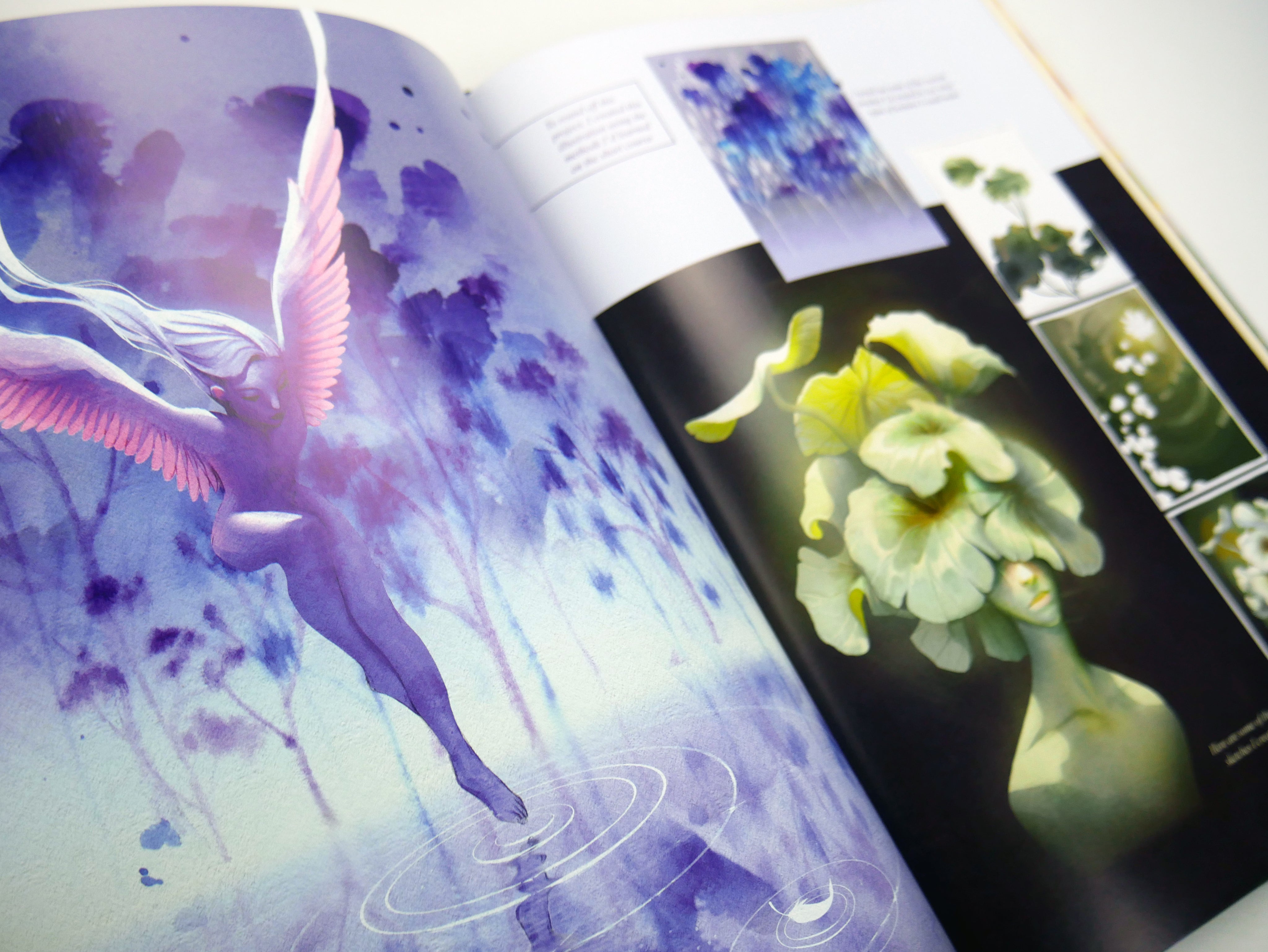 Golden Hour: The Art of Raide - Signed First Edition – 3dtotal shop