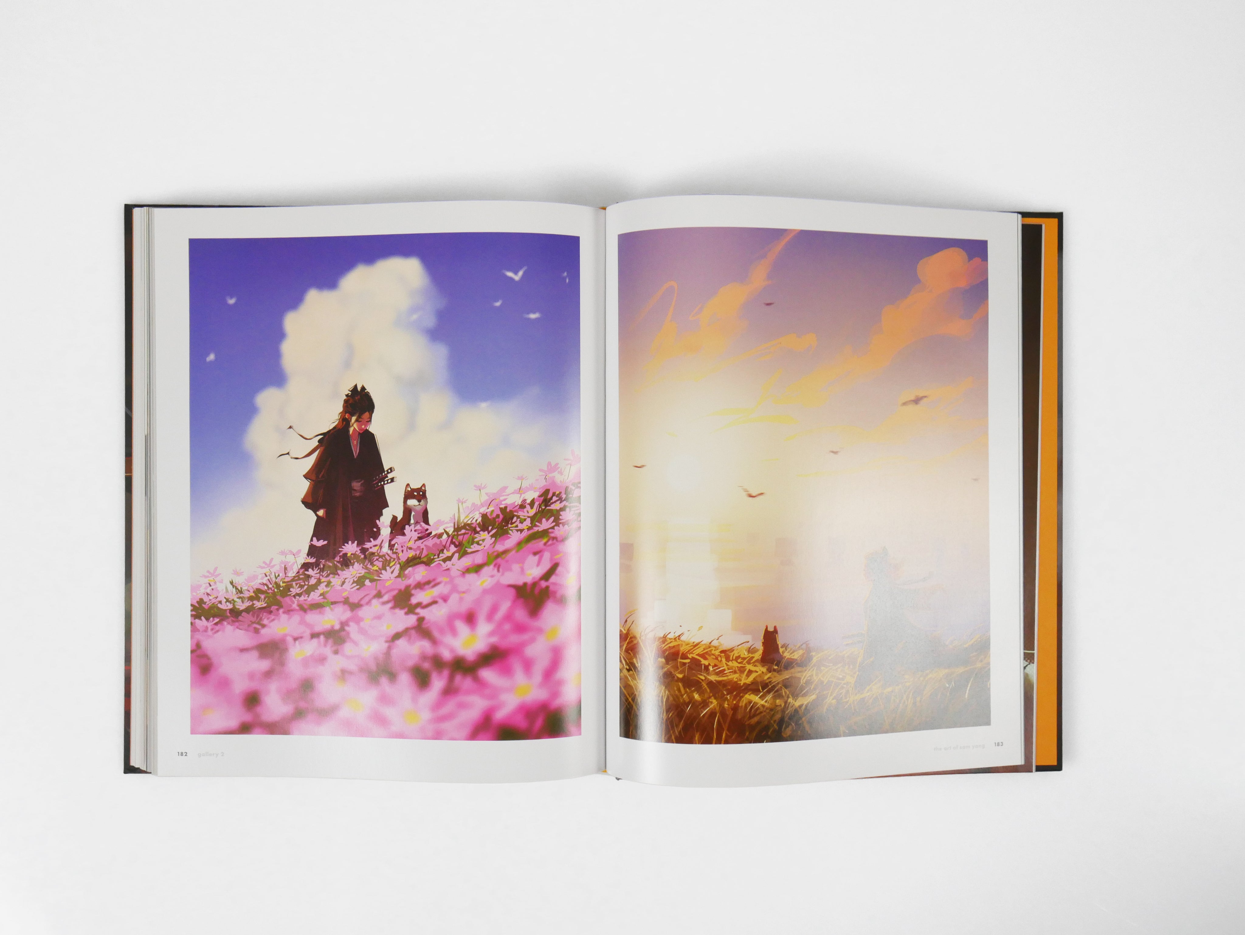 The Art of Sam Yang – 3dtotal shop