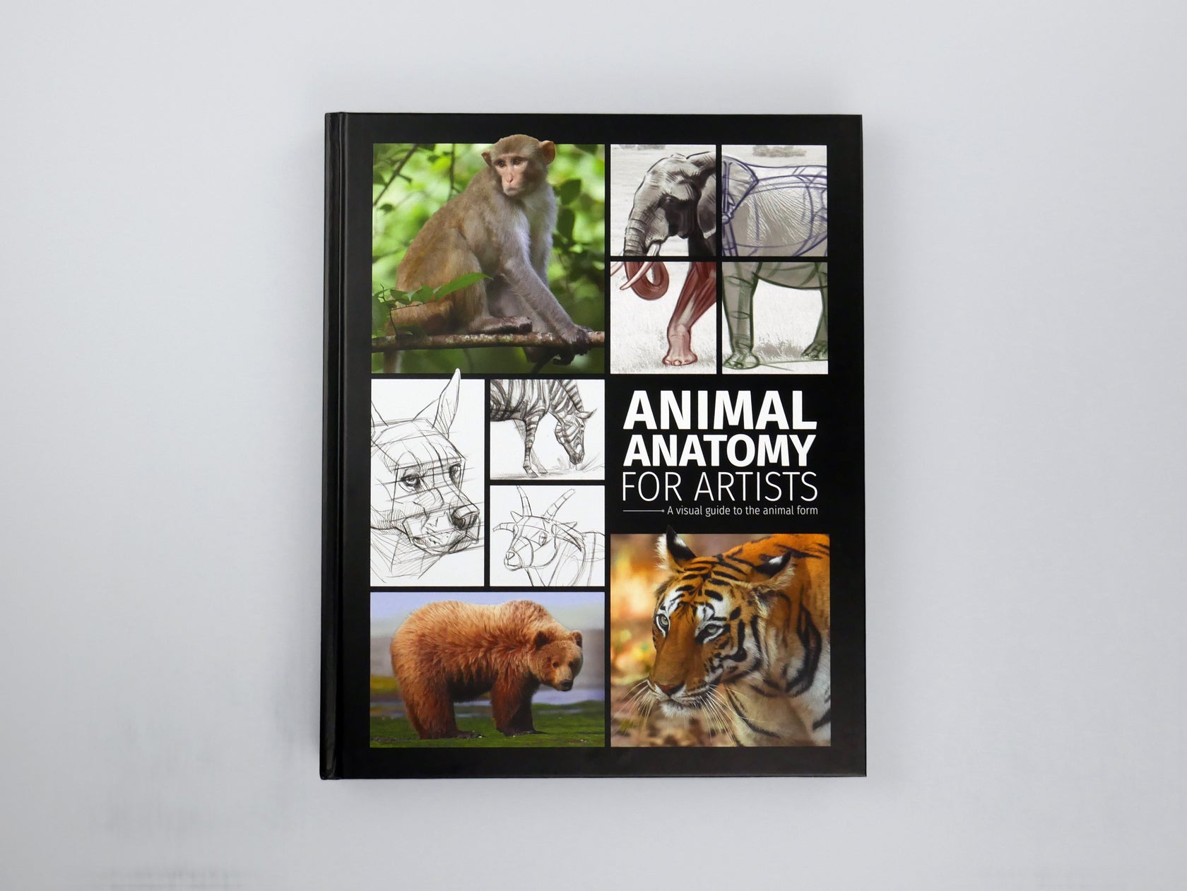 Animal Anatomy for Artists: A visual guide to the animal form – 3dtotal ...