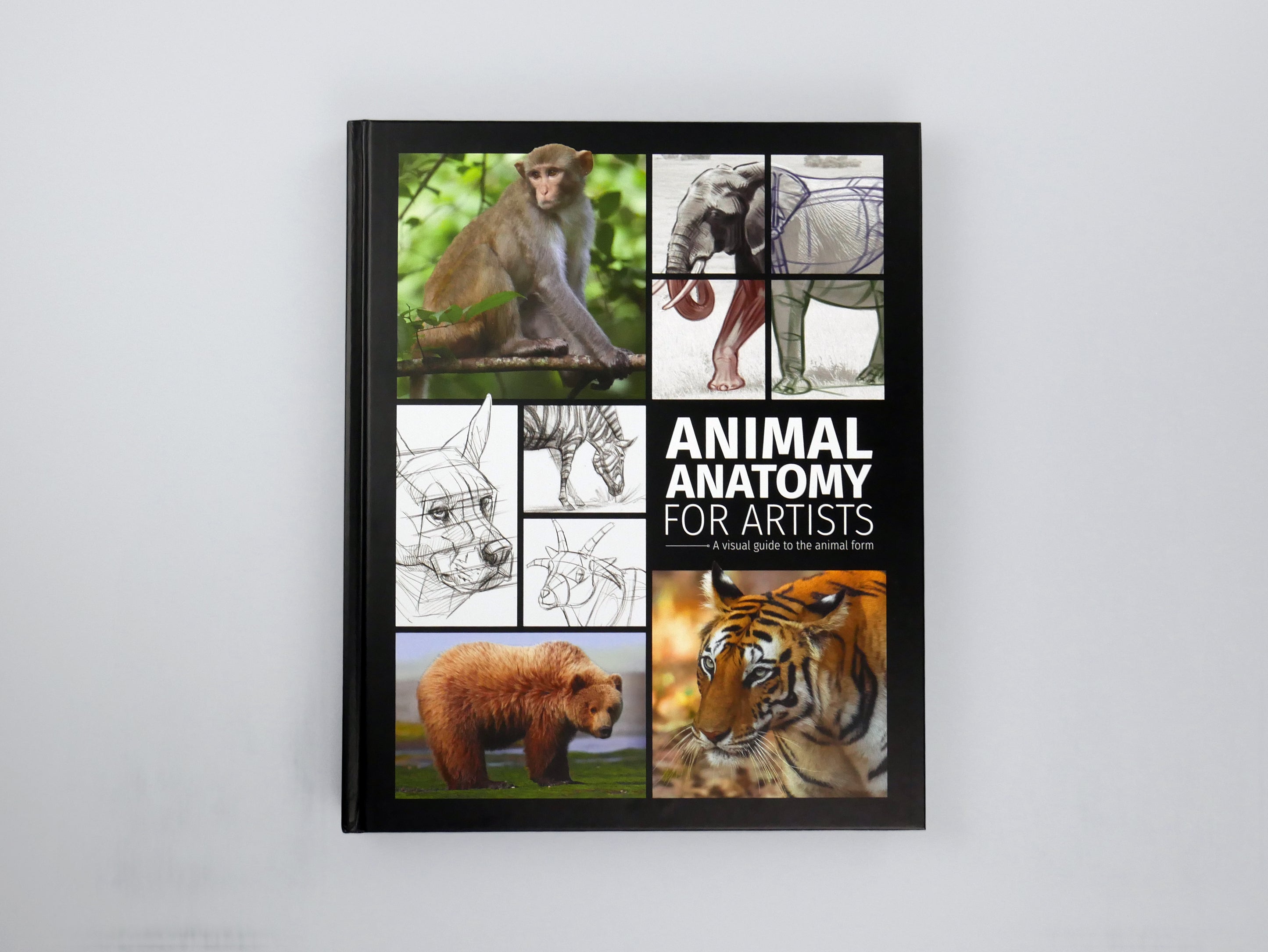 Animal Anatomy for Artists: A visual guide to the animal form – 3dtotal ...