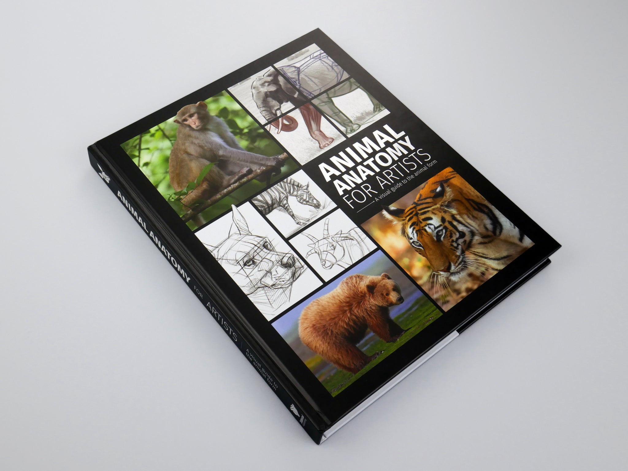 Animal Anatomy for Artists: A visual guide to the animal form – 3dtotal ...