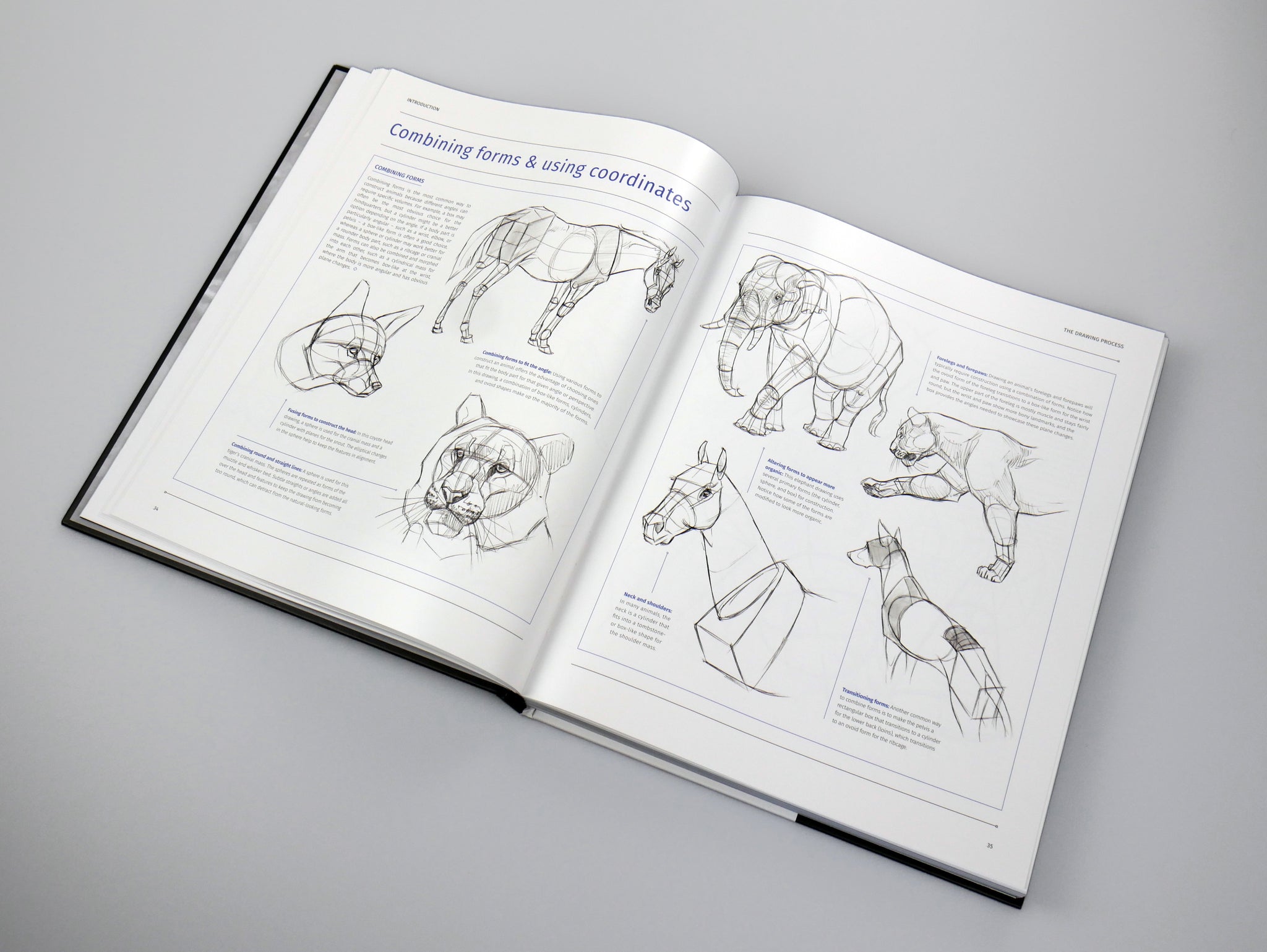 Animal Anatomy for Artists: A visual guide to the animal form – 3dtotal ...
