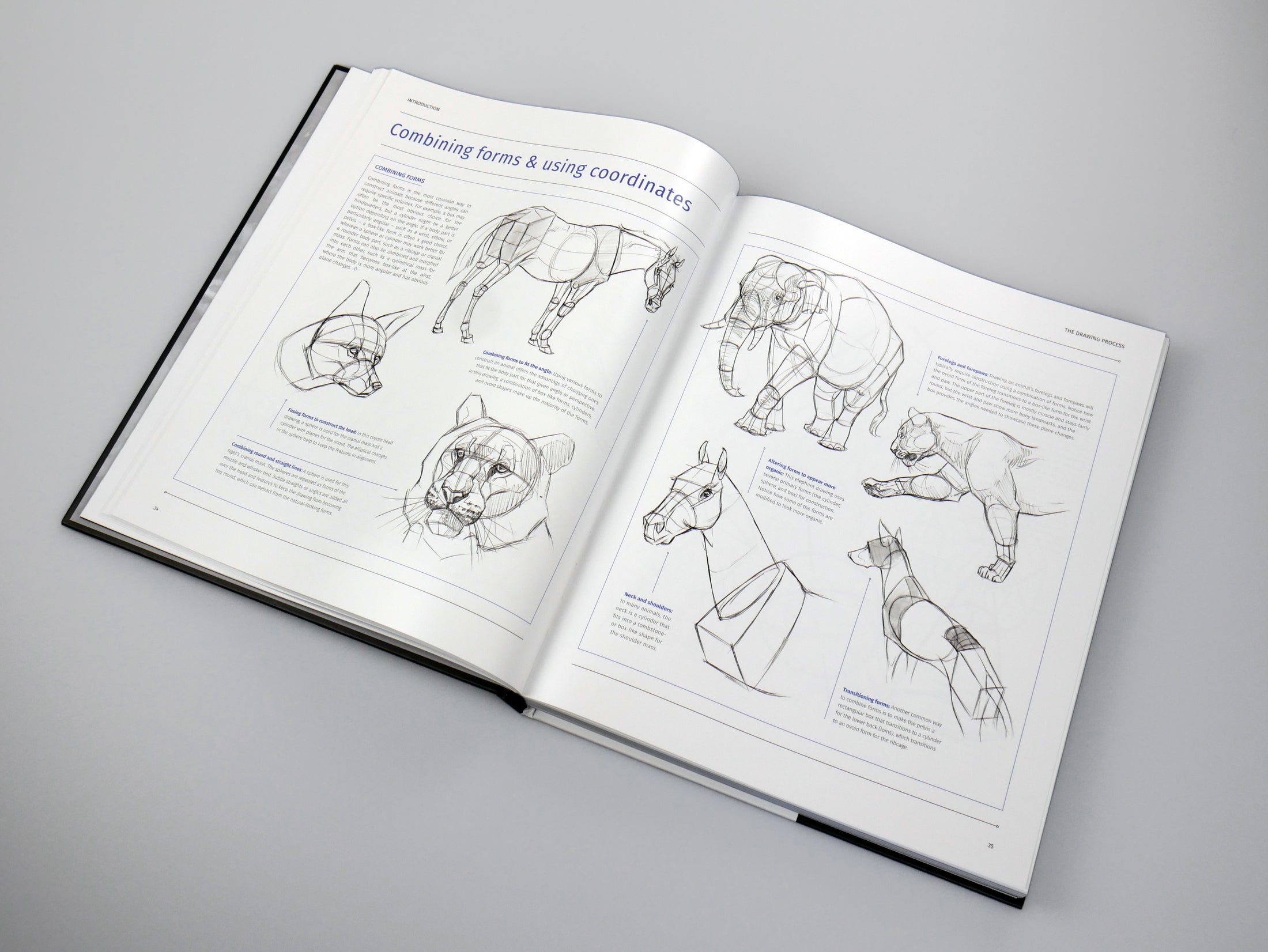 Animal Anatomy for Artists: A visual guide to the animal form – 3dtotal ...