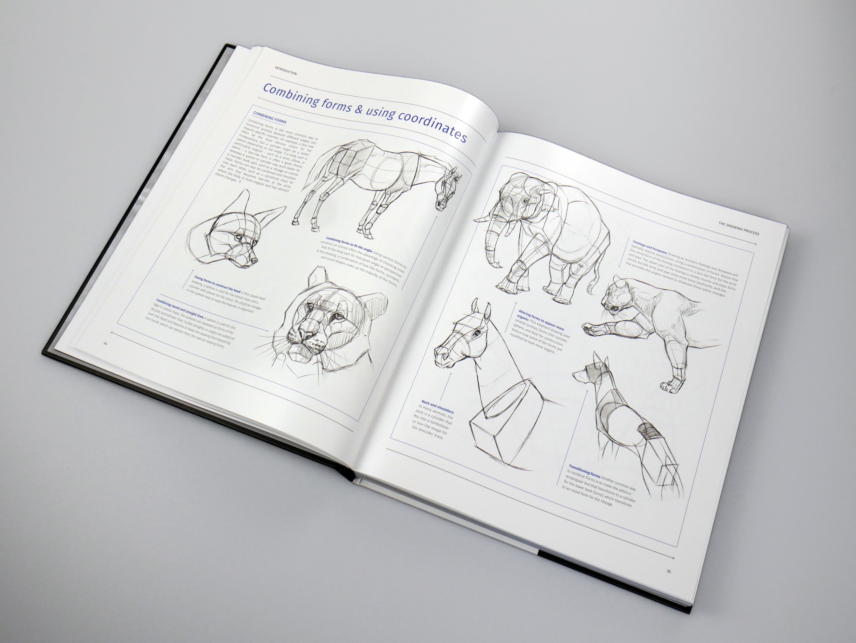 Animal Anatomy for Artists: A visual guide to the animal form – 3dtotal ...