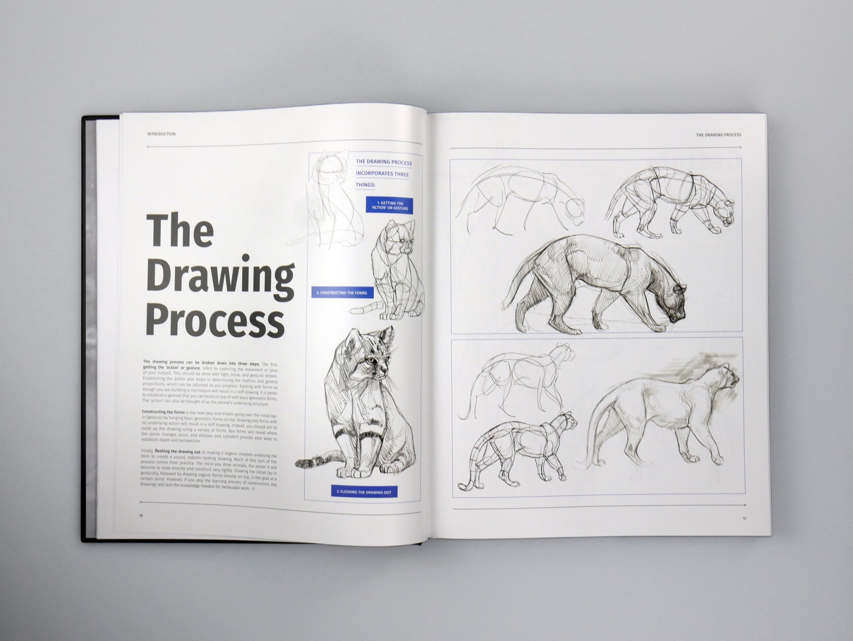 Animal Anatomy for Artists: A visual guide to the animal form – 3dtotal ...