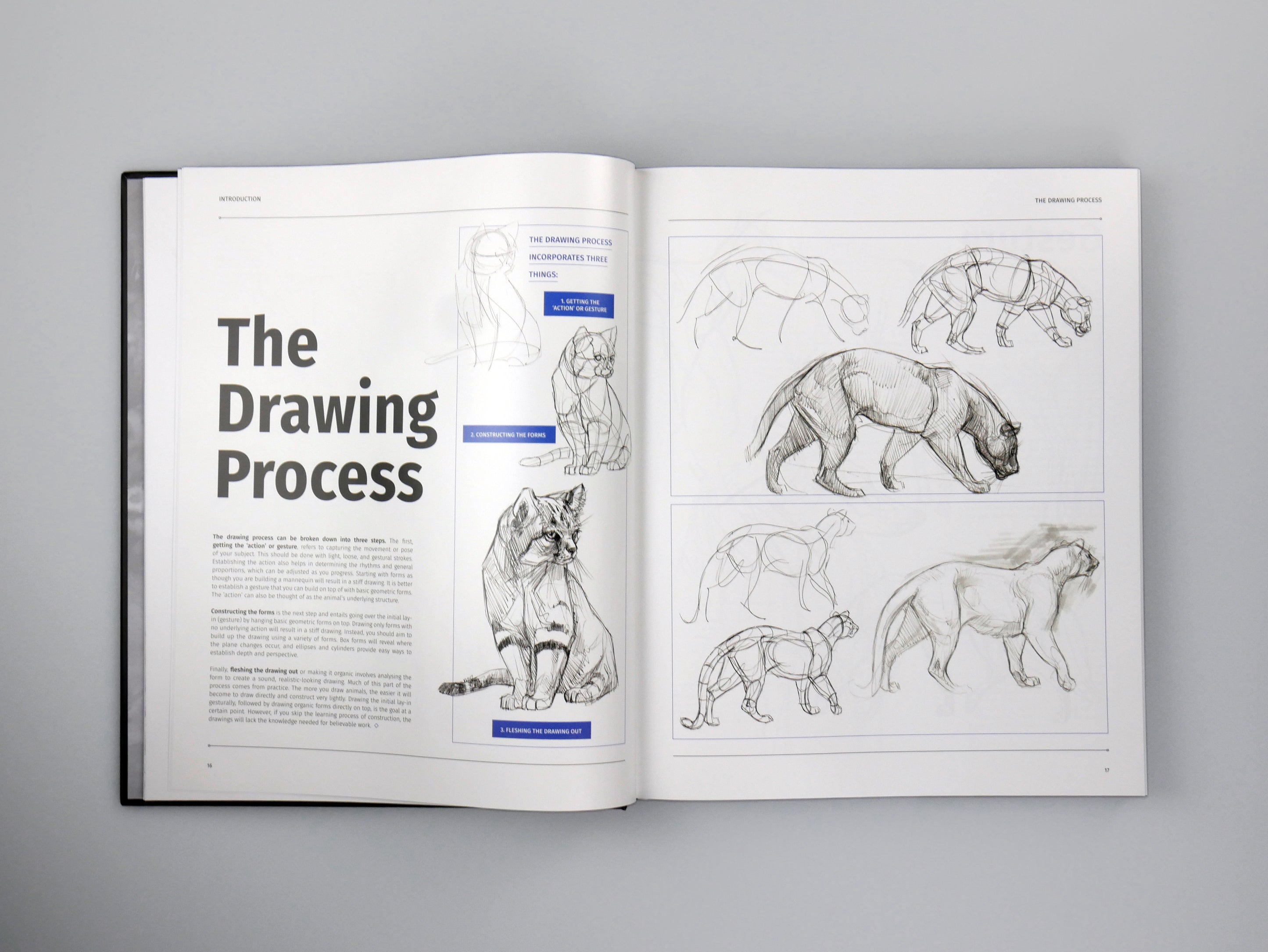 Animal Anatomy for Artists: A visual guide to the animal form – 3dtotal ...