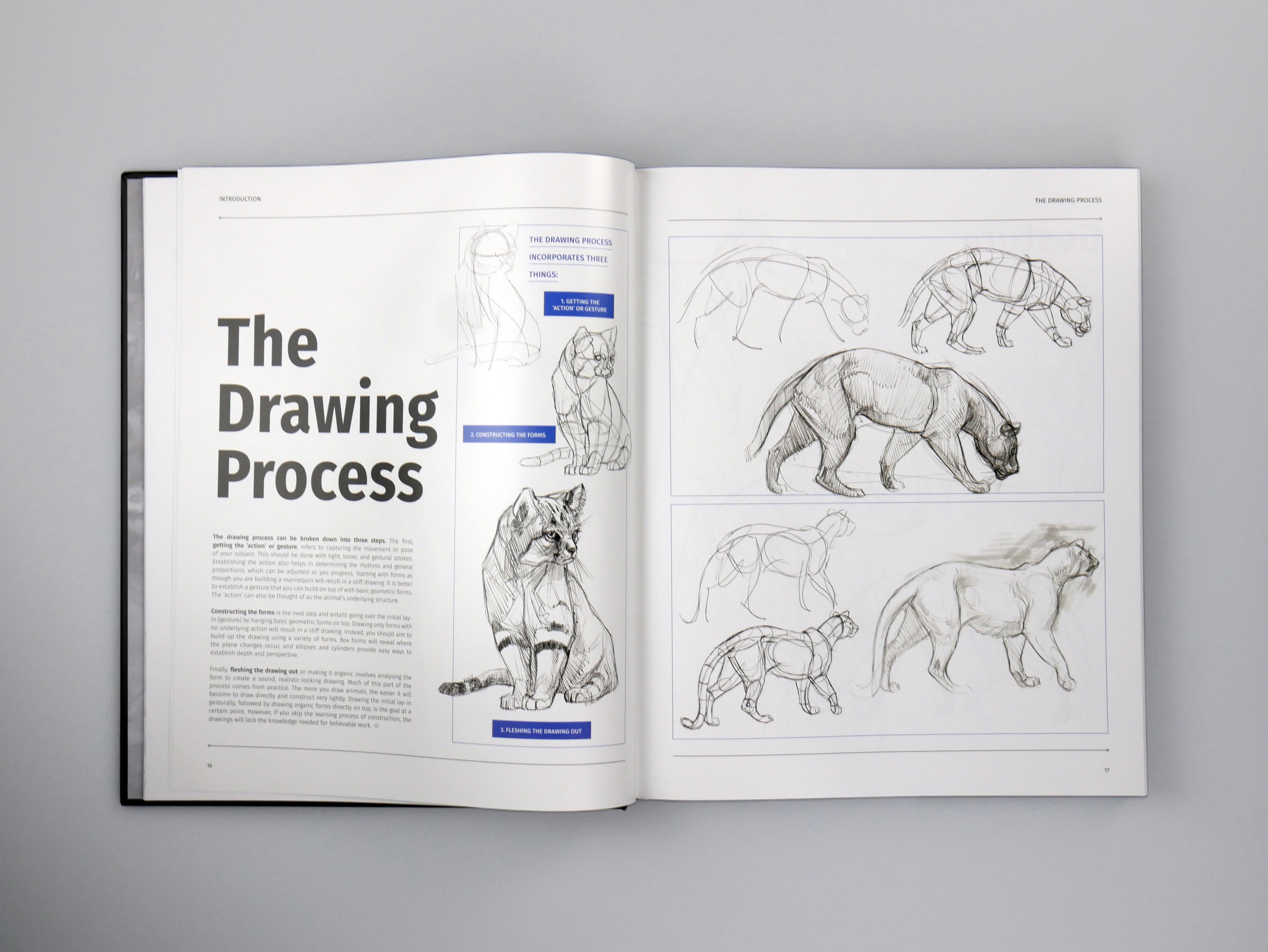 Animal Anatomy for Artists: A visual guide to the animal form – 3dtotal shop