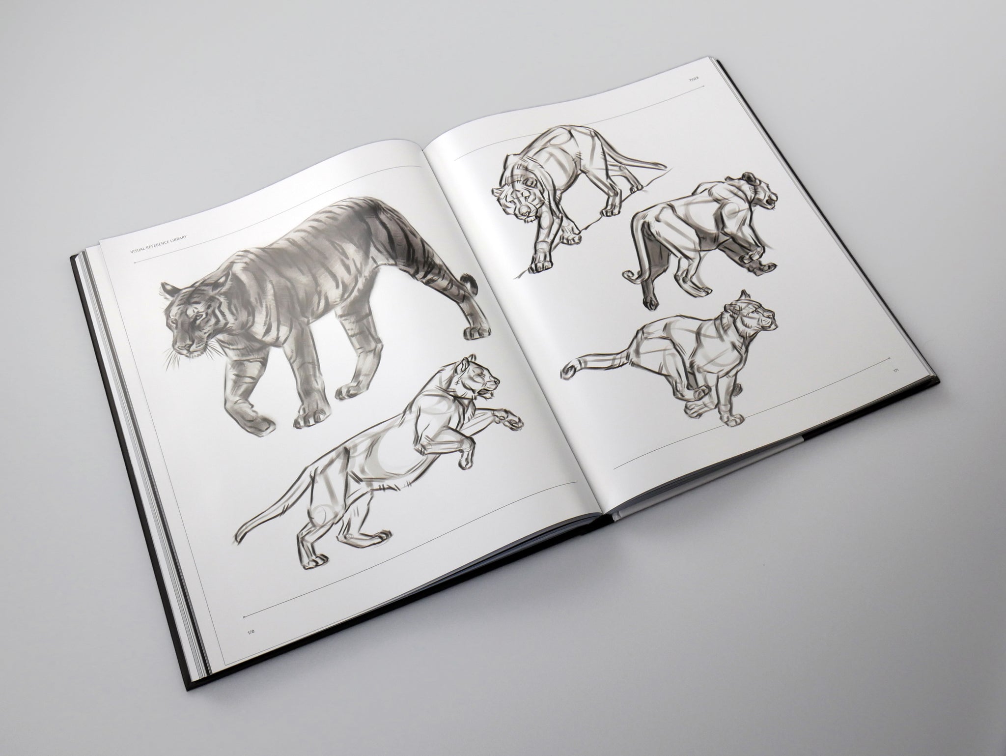 Animal Anatomy for Artists: A visual guide to the animal form – 3dtotal ...