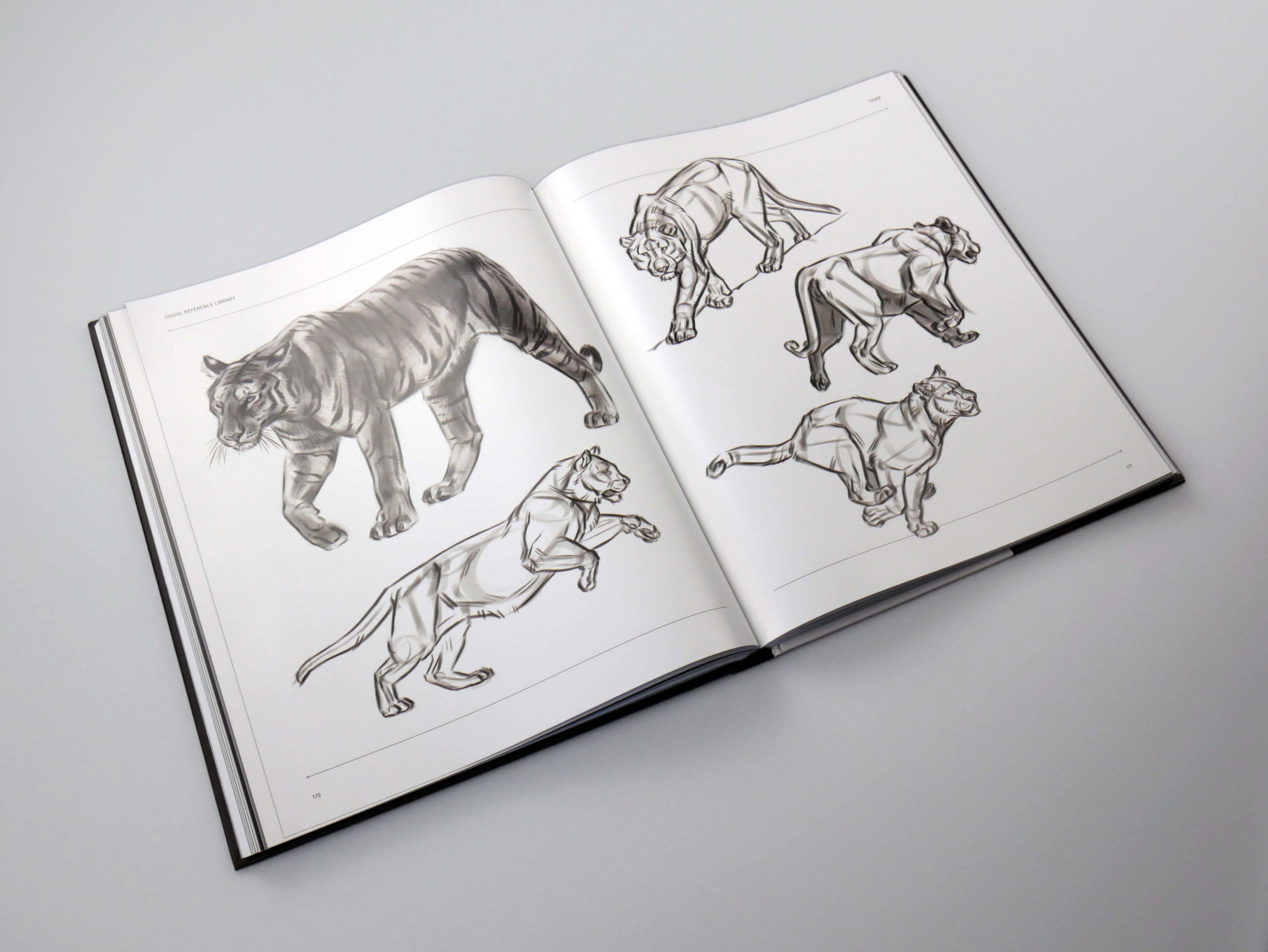Animal Anatomy for Artists: A visual guide to the animal form – 3dtotal ...