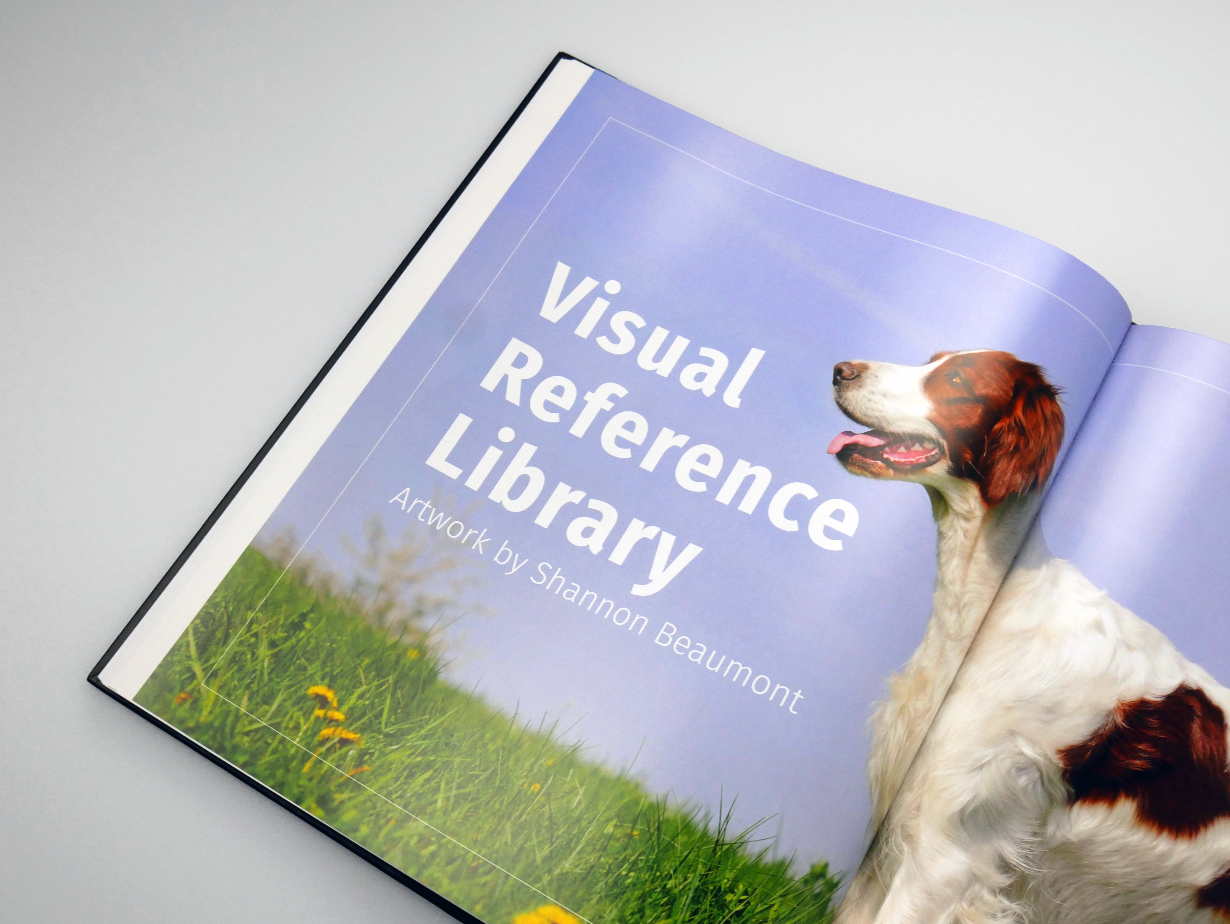 Animal Anatomy for Artists: A visual guide to the animal form – 3dtotal ...