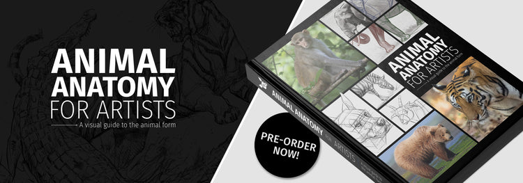 3dtotal.com store – 3dtotal shop