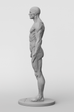 3dtotal Anatomy: male figure – 3dtotal shop