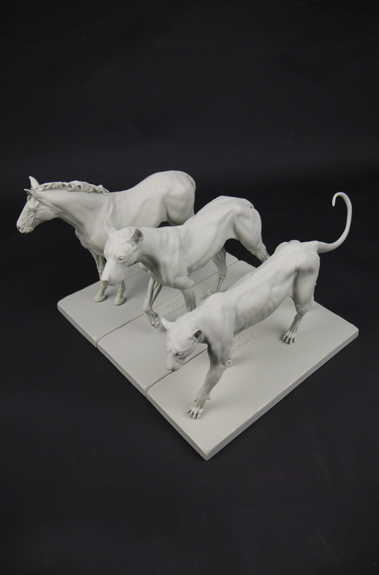 3dtotal Anatomy: 3 piece set of animal figures – 3dtotal shop