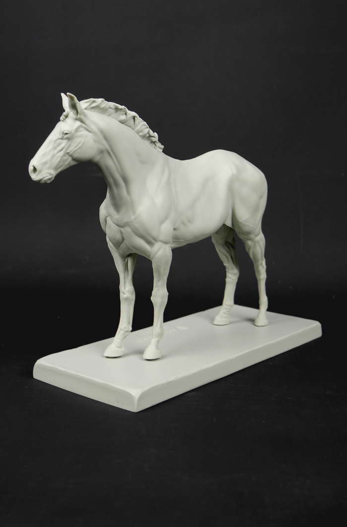 3dtotal Anatomy: Equine figure – 3dtotal shop
