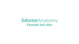 3dtotal Anatomy: female full skin figure – 3dtotal shop