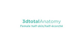 3dtotal Anatomy: female figure – 3dtotal shop