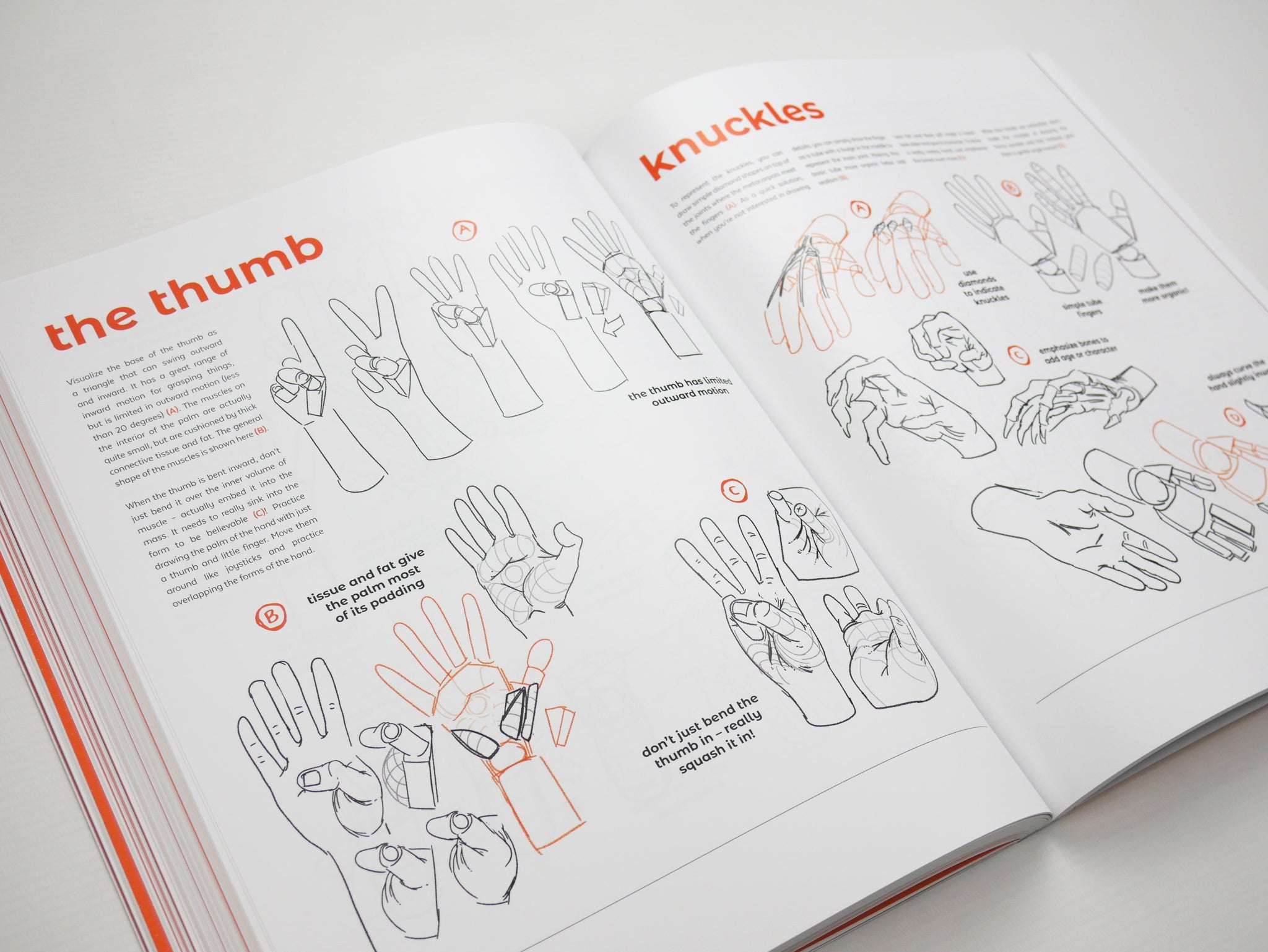 Anatomy for Artists: Drawing Form & Pose – 3dtotal shop