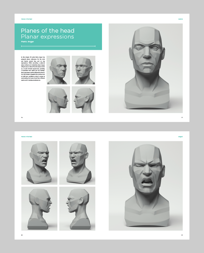 Human Head Anatomy: Planes of the Head (Download Only) – 3dtotal shop
